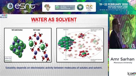 Pathophysiology Of Nephrolithiasis Youtube