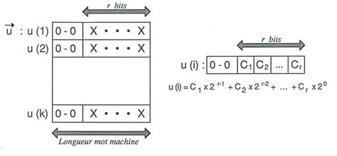 Format Of A Normalized Vector Download Scientific Diagram