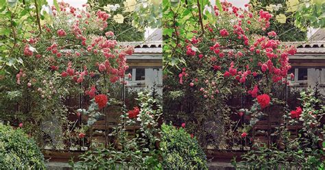 Positive Developments And Negative Attitudes A Word On Color And Conversion PetaPixel