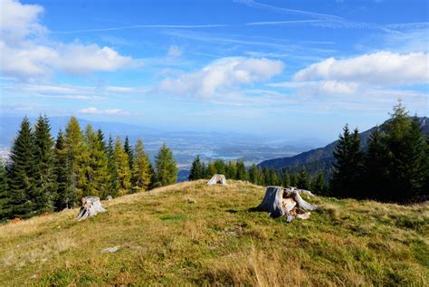 картинки дерево пустыня гулять пешком гора облако пеший туризм след луг прерия холм