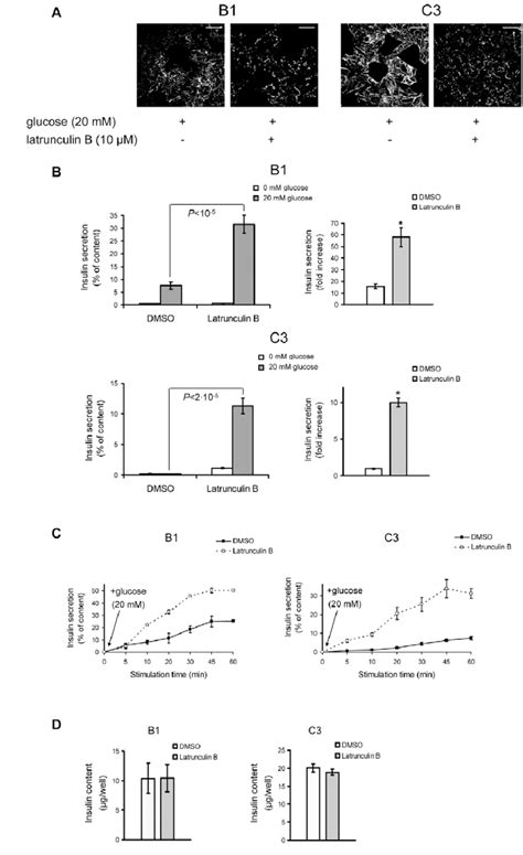 Effect Of Actin Depolymerisation On The Secretory Response To Glucose