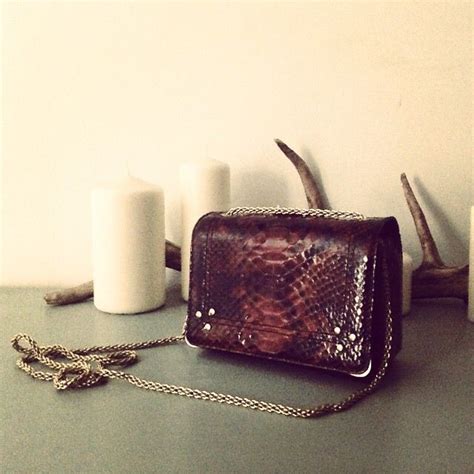 Eliot Python Tortue Jeromedreyfuss