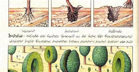 Art From Codex Seraphinianus Album On Imgur
