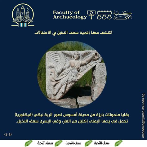 Asu أهمية سعف النخيل في الاحتفالات