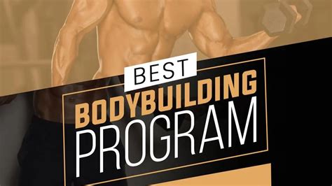 Comprehensive Guide On Online Bodybuilding Programs
