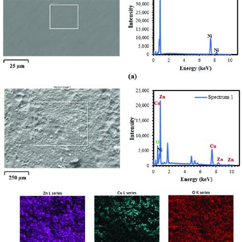 sem micrograph and eds spectra from the surface of prc−ni before