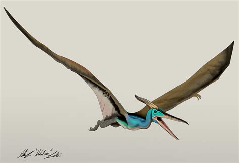 The Lost World Jurassic Park Pteranodon By Nikorex On Deviantart
