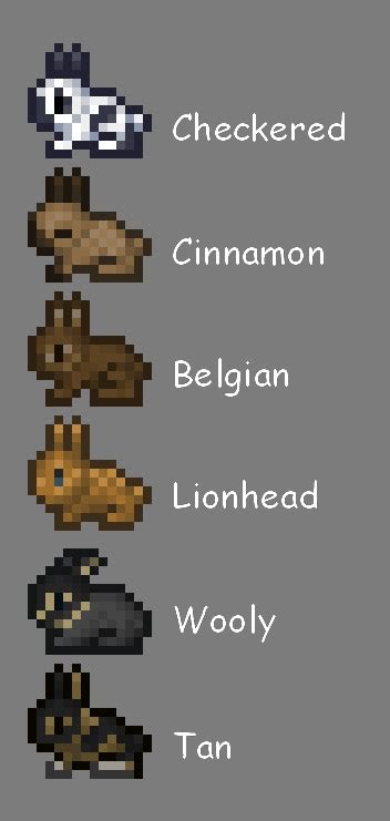 I Made More Bunnies Rterraria