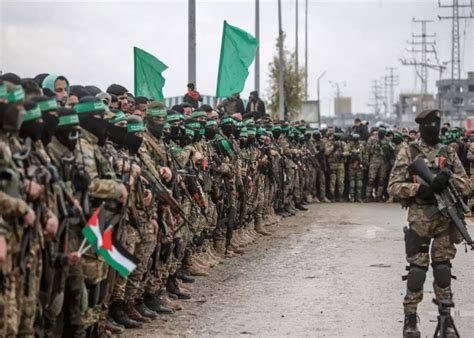 Sign Of Life Of David Cunio Received