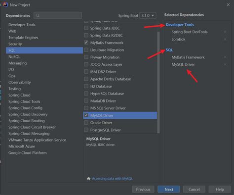 Ruoyi Vue版本（十八）创建自己的项目，使用若依里面的技术，多数据源的实现