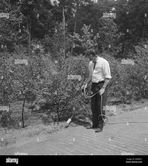 Workers Spraying Shrubs Roads Date Undated Keywords Workers