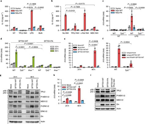 Sftsv Nss Induces Il 10 Expression By Activating The Tpl2 Signalling