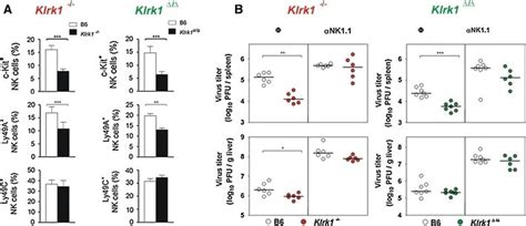 Comparative Analysis Of Nk Cell Phenotype And Function Between Wild