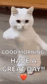 Good Morning Gorgeous  For Her Funny