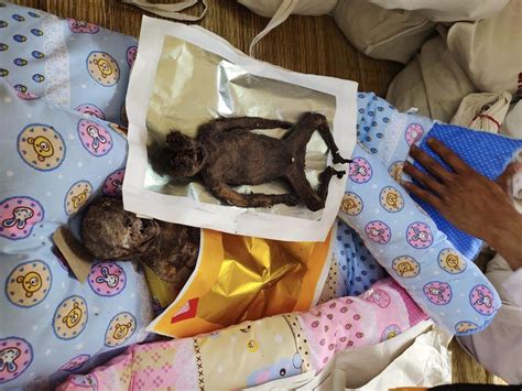 ป่าช้าแทบแตก สาธุชนทั่วสารทิศแห่ร่วมพิธีล้างป่าช้าเก็บศพไร้ญาติ จ ปราจีนบุรี สุดฮือฮาน้ำตาเทียน