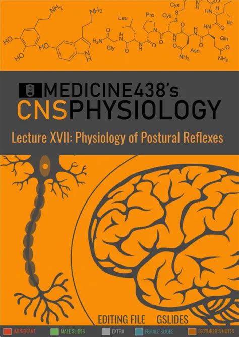 Lecture Xvii Physiology Of Postural Reflexes Docslib