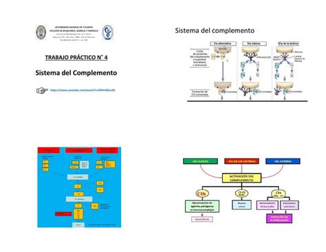 Complejos Milagros Herrera Udocz Complejos Milagros Herrera Udocz