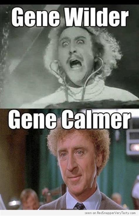 Gene Wilder Meme Guy