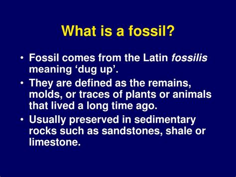 PPT Rebecca Fossil Types PowerPoint Presentation Free Download ID 637