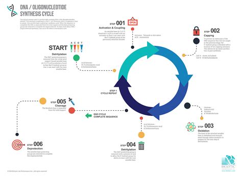 Decoding The Oligonucleotide Synthesis Cycle Navigating Solid Phase Chemistry Biolytic Blog