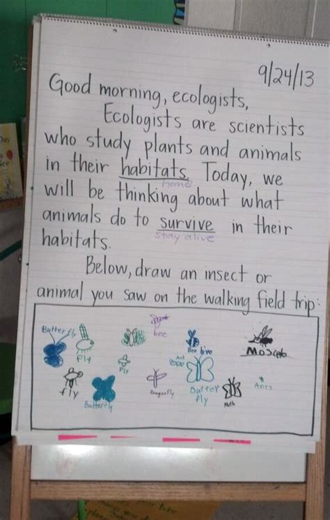 Ready In Second Grade Artofit