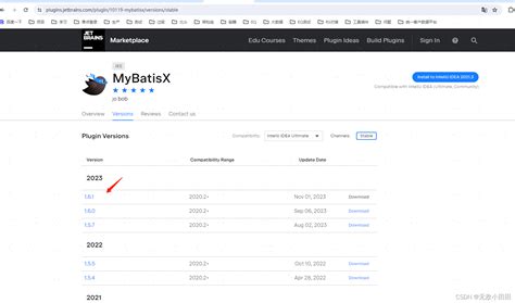 Mybatis Plus常用技巧mybatisplus插件离线下载 Csdn博客