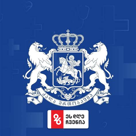 დევნილთა შრომის ჯანმრთელობისა და სოციალური დაცვის სამინისტრო Tbilisi