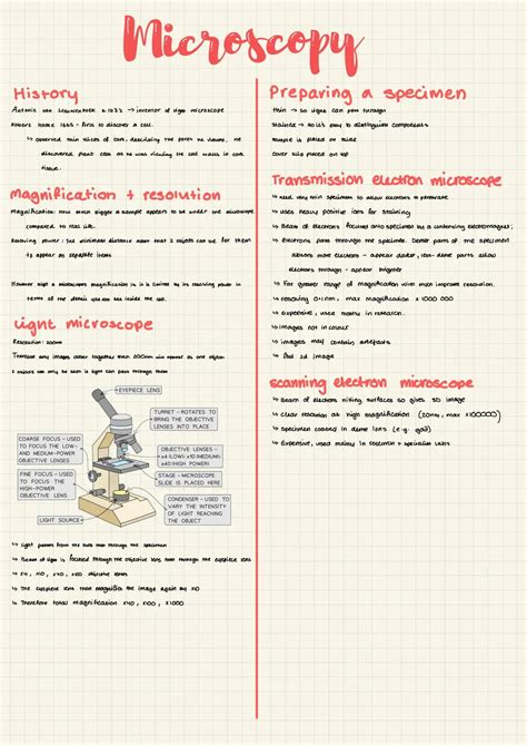 Aqa A Level Biology Microscopy Notes Year 12 Pdf Comparing