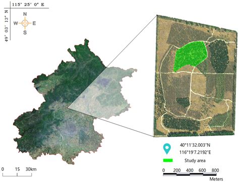 Remote Sensing Free Full Text Tree Crown Segmentation And Diameter At Breast Height