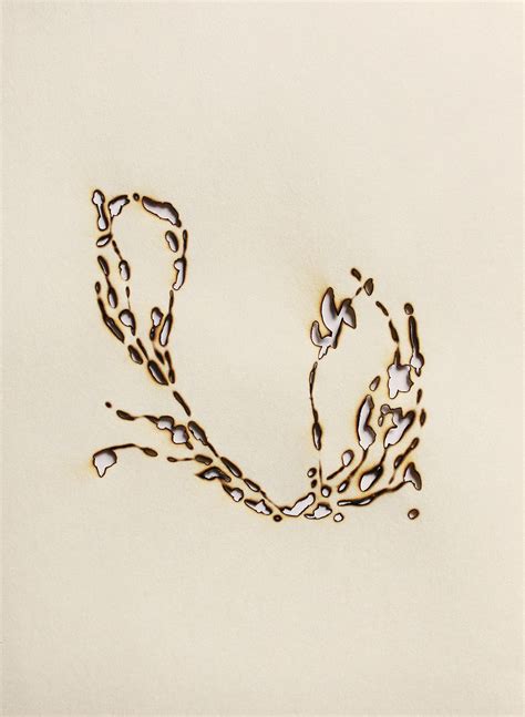 Letters And Elements Listy Z Ziemi On Behance