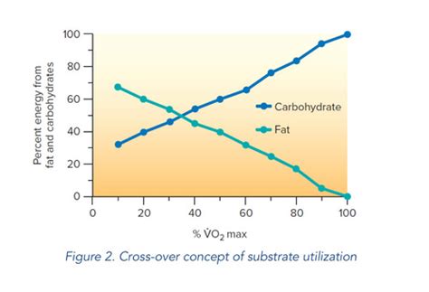 Lab 3 Substrate Utilization Flashcards Quizlet