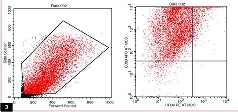 A Representative Flow Cytometric Analysis Of Ad Mscs Surface Markers At