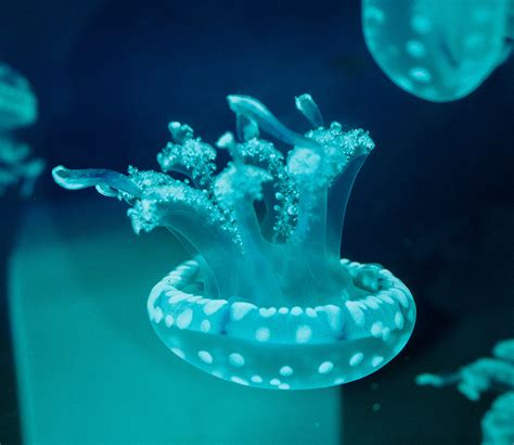 Over Ons Inkfish Media Jouw Creatieve Mediahuis