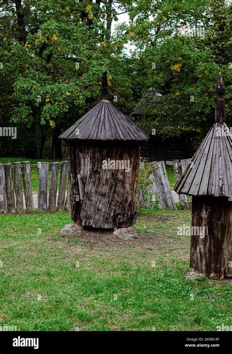 Where Is Tree Hut Sold At Molly Nielsen Blog