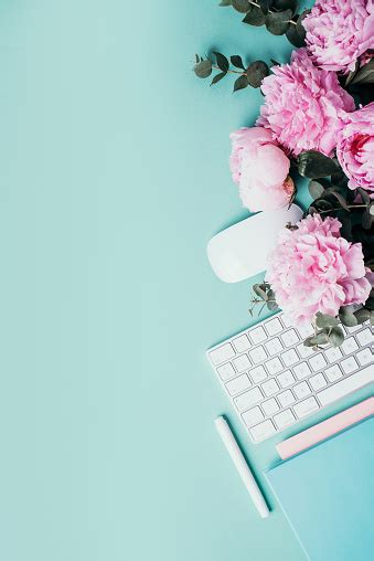 여성스러운 작업 공간 흰색 컴퓨터 키보드 마우스 모란 꽃 파란색 배경에 유칼립투스 꽃 맨 위 보기입니다 공간을 복사합니다 플랫 레이 블로거 비즈니스 개념 모의 생일 여성의