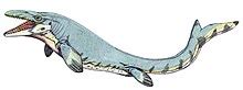 Mosasaurus Wikipedia