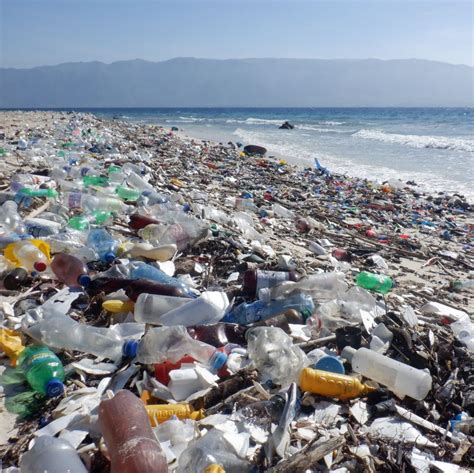 Withney Altema Posted On Linkedin