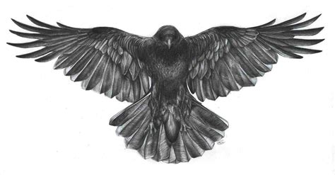 How To Draw Flying Crow Drawing Inspiration Ideas