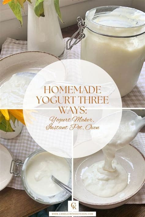 Homemade Yogurt Three Ways Yogurt Maker Instant Pot Oven Recipe
