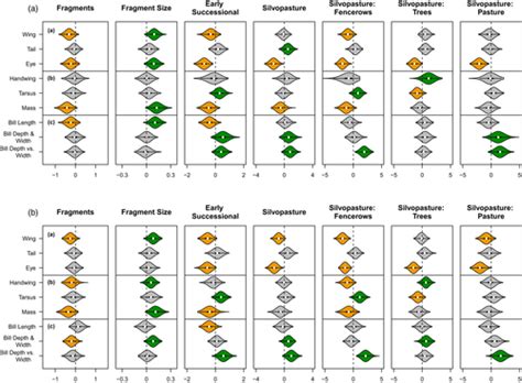 Functional Response Traits And Altered Ecological Niches Drive The