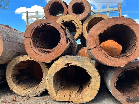 Natural Logs Used For Play Project ODS