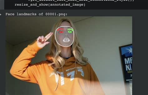 Solve A Computer Vision Problem By Lukadragar Fiverr