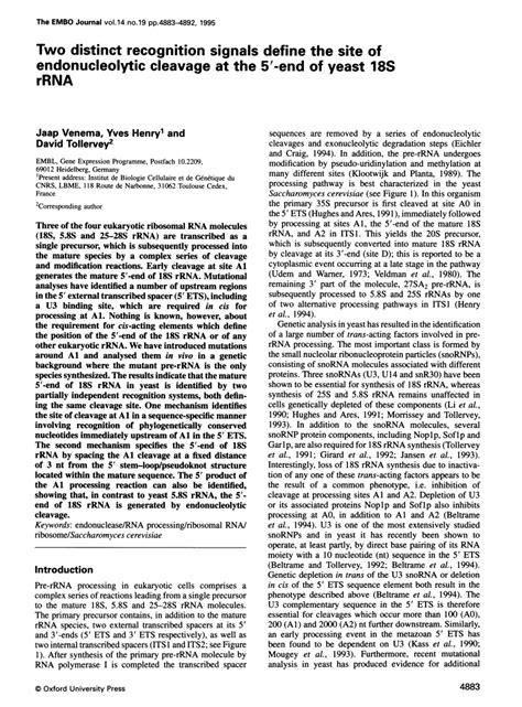 Pdf Two Distinct Recognition Signals Define The Site Of Endonucleolytic Cleavage At The 5 End