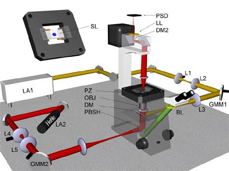 Schematic Illustration Of The Components In The Force Measurement Download Scientific Diagram