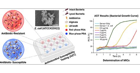 Portable Colorimetric Hydrogel Beads For Point Of Care Antimicrobial