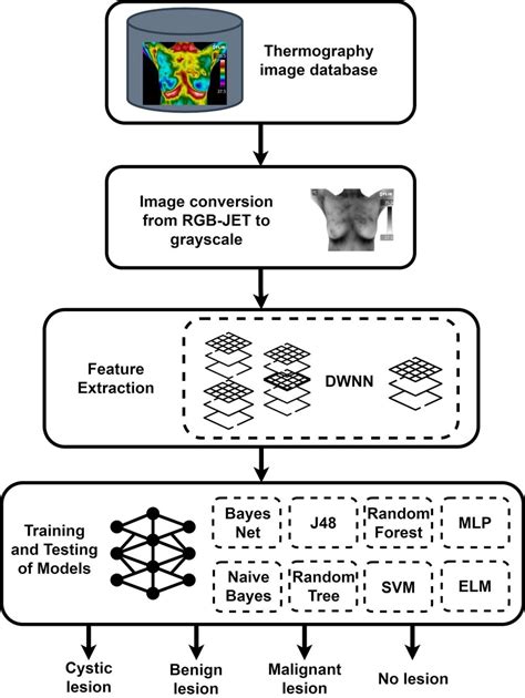 Proposed Method For The Identification And Classification Of Breast