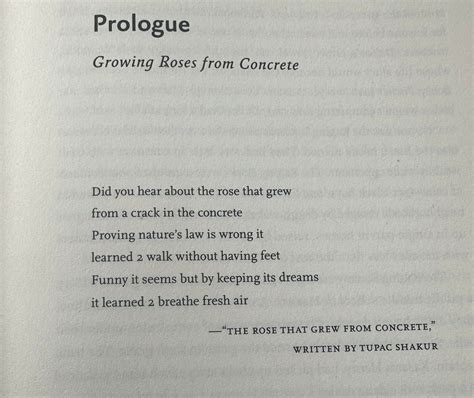The Rose That Grew From Concrete Book
