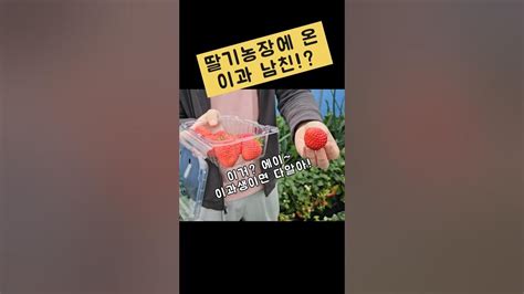 🍓딸기가 이걸 먹는다고 연하 남친과 딸기농장 데이트 Youtube