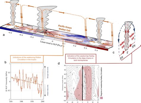 Schematic Representations Of The Walker And Hadley Circulations And