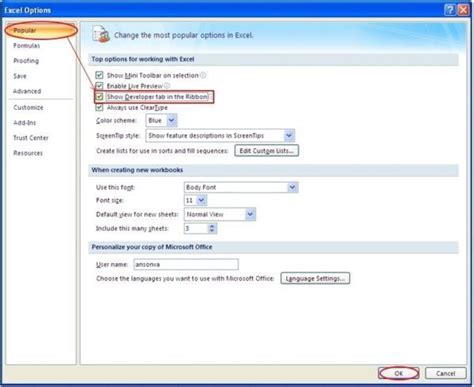 enable developer tab in excel 2007 with images